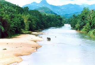 Sri Lanka's rivers | Travel Sri Lanka