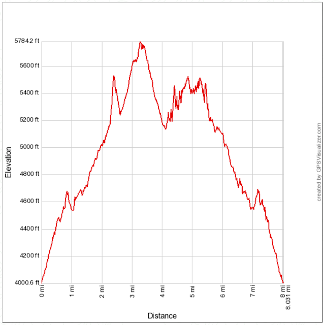 Iron Hiker: Third Stream Crossing Falls