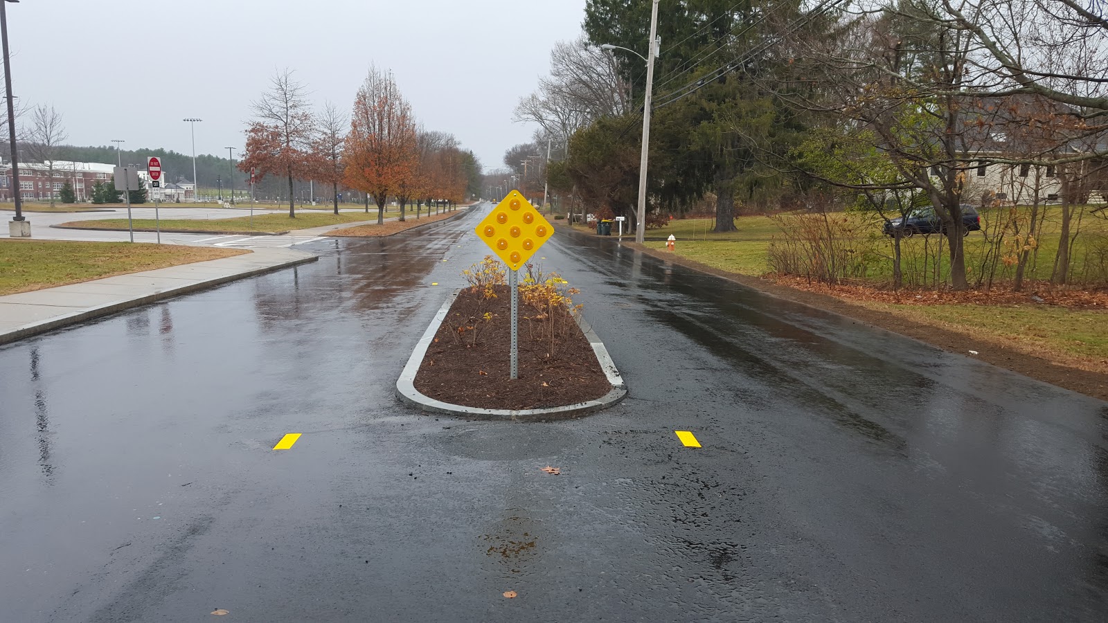 Franklin Matters: Walking in the rain on Saturday (photo essay)