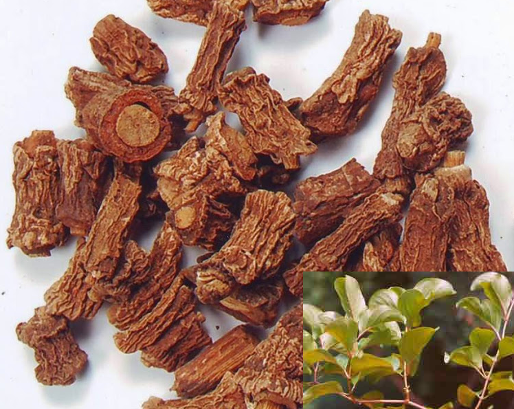 RajahFMCG | Premium Whole Wheat Flour | Glucose Enriched Drink | safety matches manufacturers ...