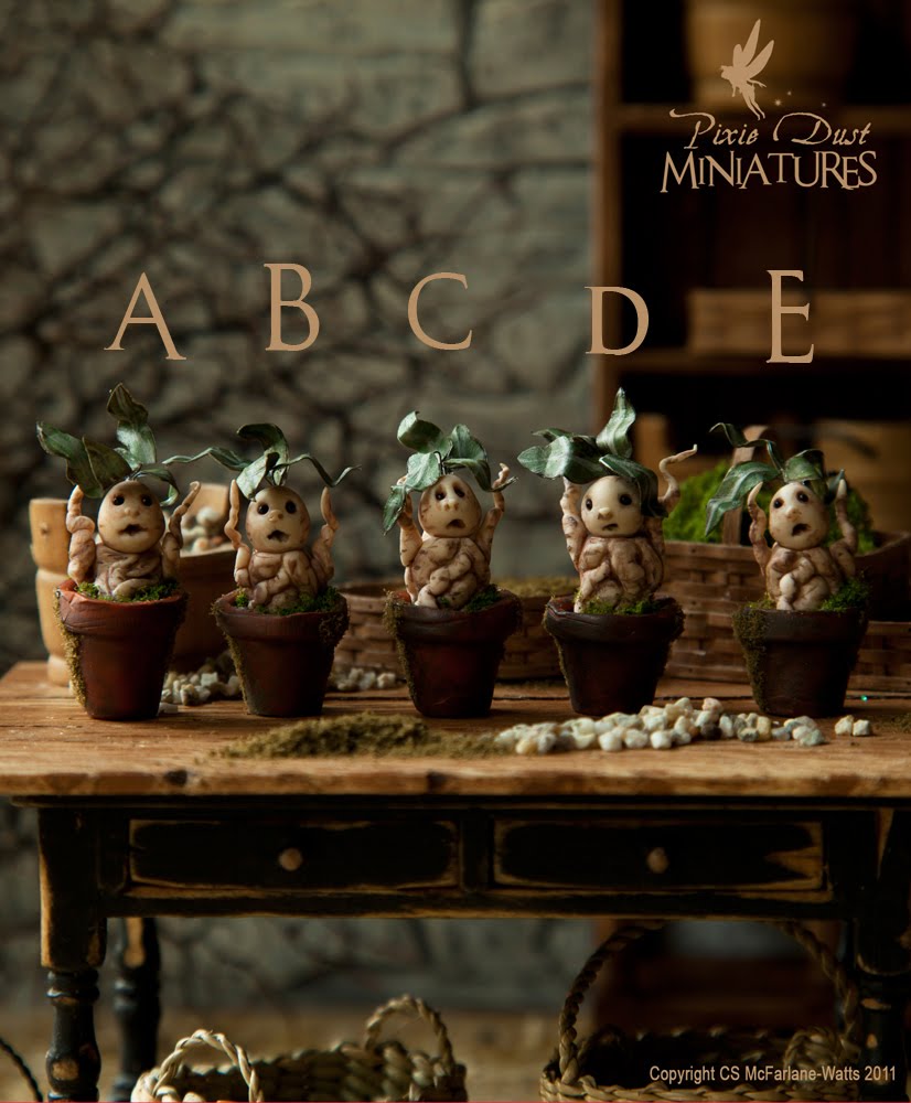 Pixie Dust Miniatures: Mandrake Seedlings need Homes!