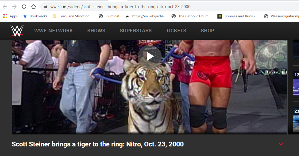 The Mindless Freaks: Scott Steiner brought Tiger on WWE-Sylvester ...