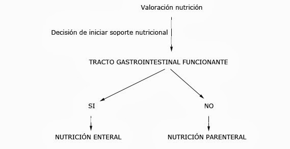 Blog de Pequefarma sobre Nutrición Infantil y Salud: Cuidados de una sonda Blog de Pequefarma sobre Nutrición Infantil y Salud: Cuidados de una sonda