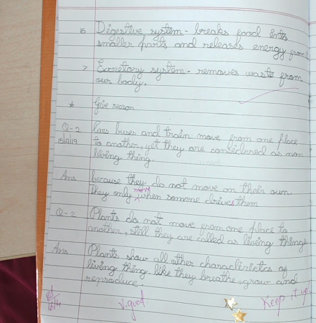 CLASS 3 EVS NOTEBOOK CLASS WORK CH1