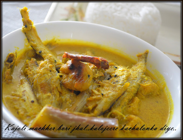 Kaberi Kitchen...a journey to the culinary world: Fish recipes...