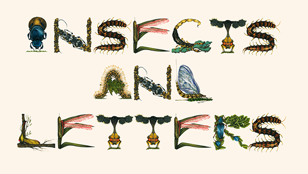LA CIENCIA DE LA VIDA: Precioso alfabeto de insectos de Paula Duță