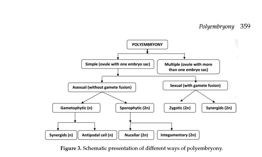 Knowledge Class: What is Polyembryony?