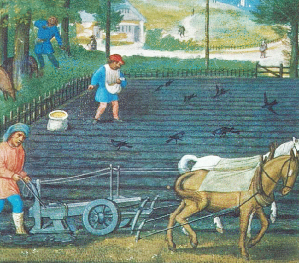 Ancient Tides: Farming Came to Europe by Varied Routes