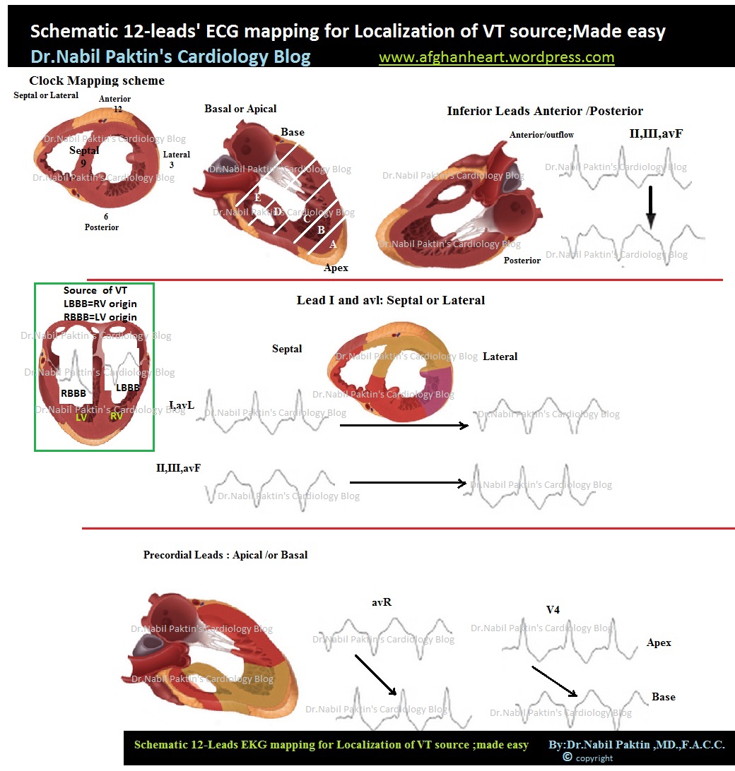 Dr.Nabil Paktin's Journal of Cardiovascular Medicine Blog ژورنال ( قلب ...