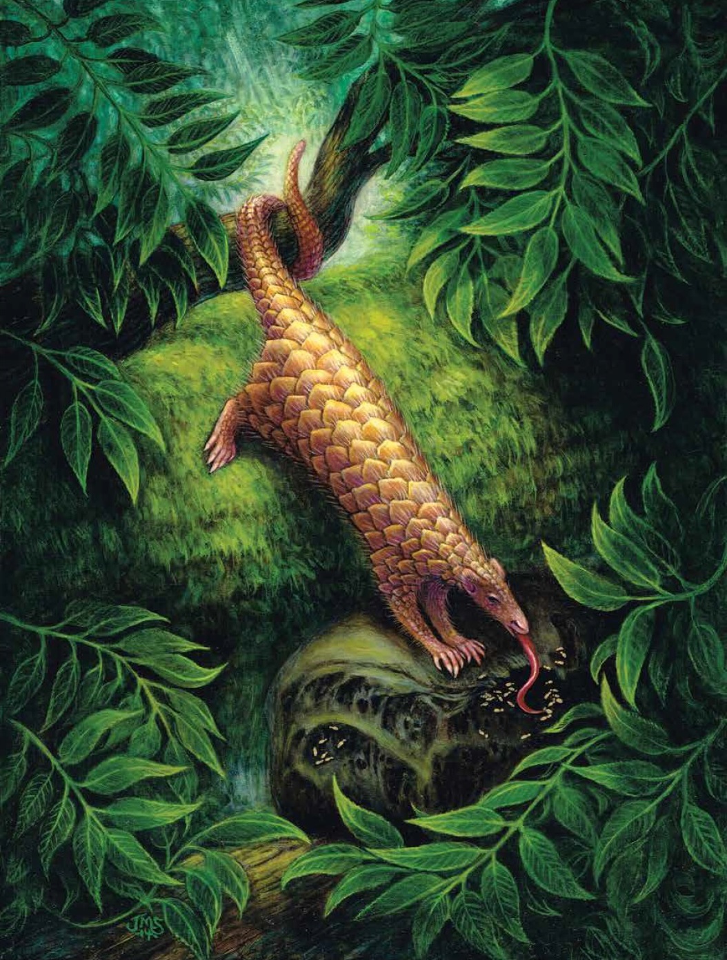 Species New to Science: [PaleoMammalogy • 2016] Skeletal Anatomy of the ...