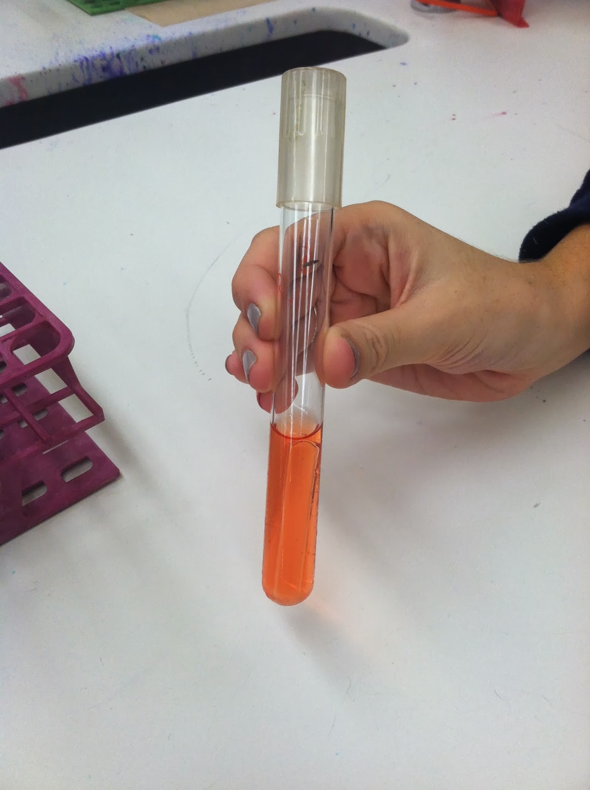 Rose & Lindsey's Medical Microbiology Blog: Testing For Sucrose ...