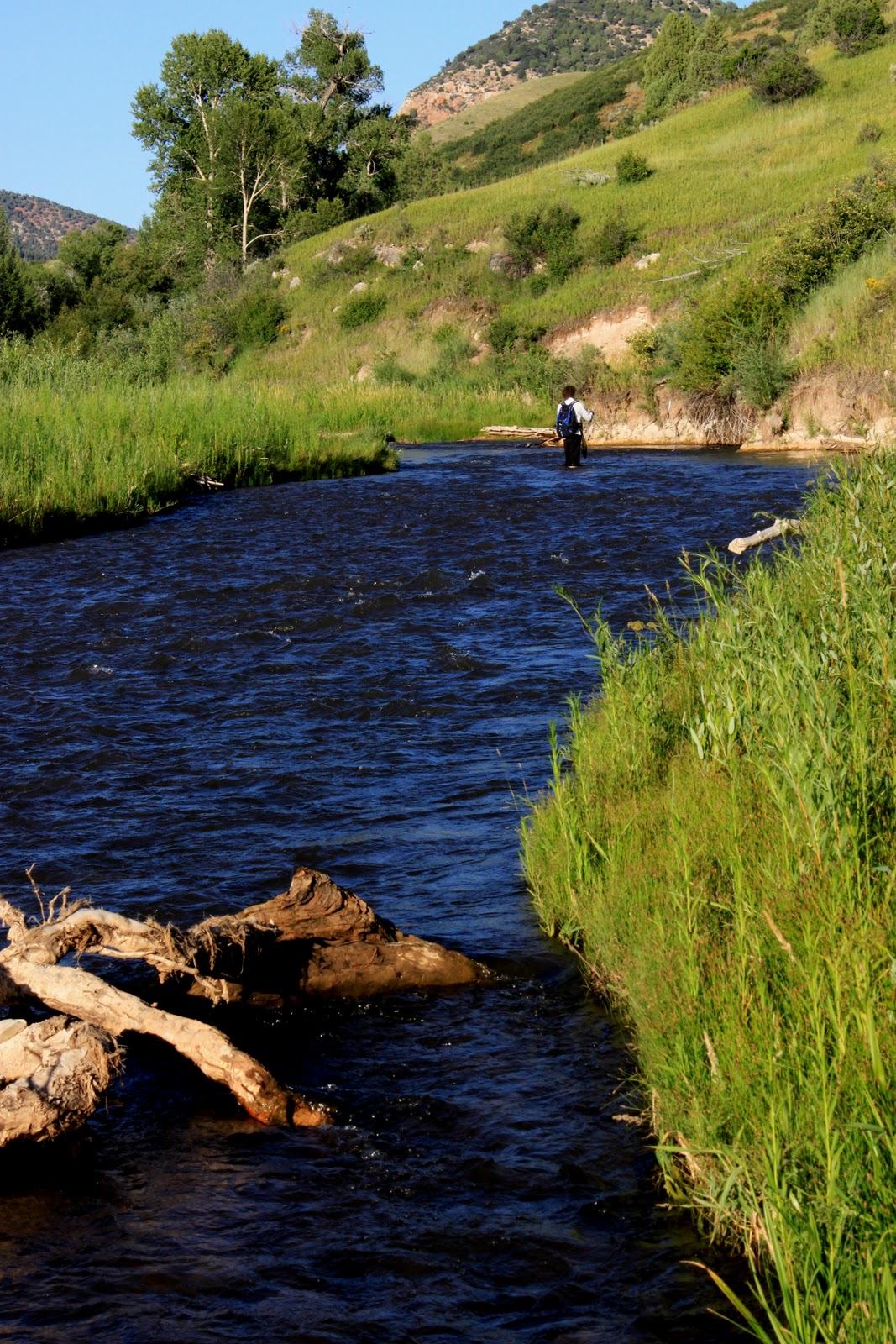 River Tales: Diamond Fork Utah