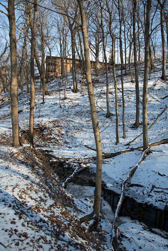 Urban Wilderness: Photo essay: A rare winter day in Jacobus Park