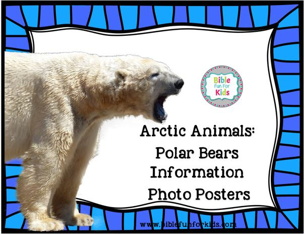 God Makes the Arctic & Polar Animals: Polar Bears | Bible Fun For Kids