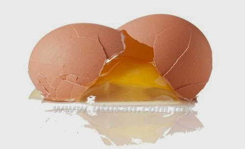 SHAMSUL AGROTEK & SS LEKIR ENTERPRISE: Khasiat sebiji telur