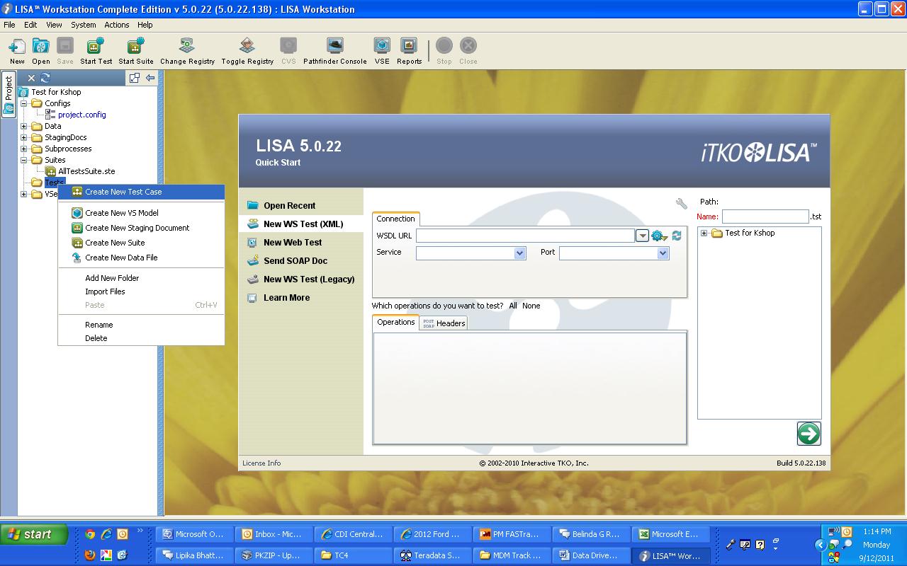 ITKO-LISA: Data Driven Testing