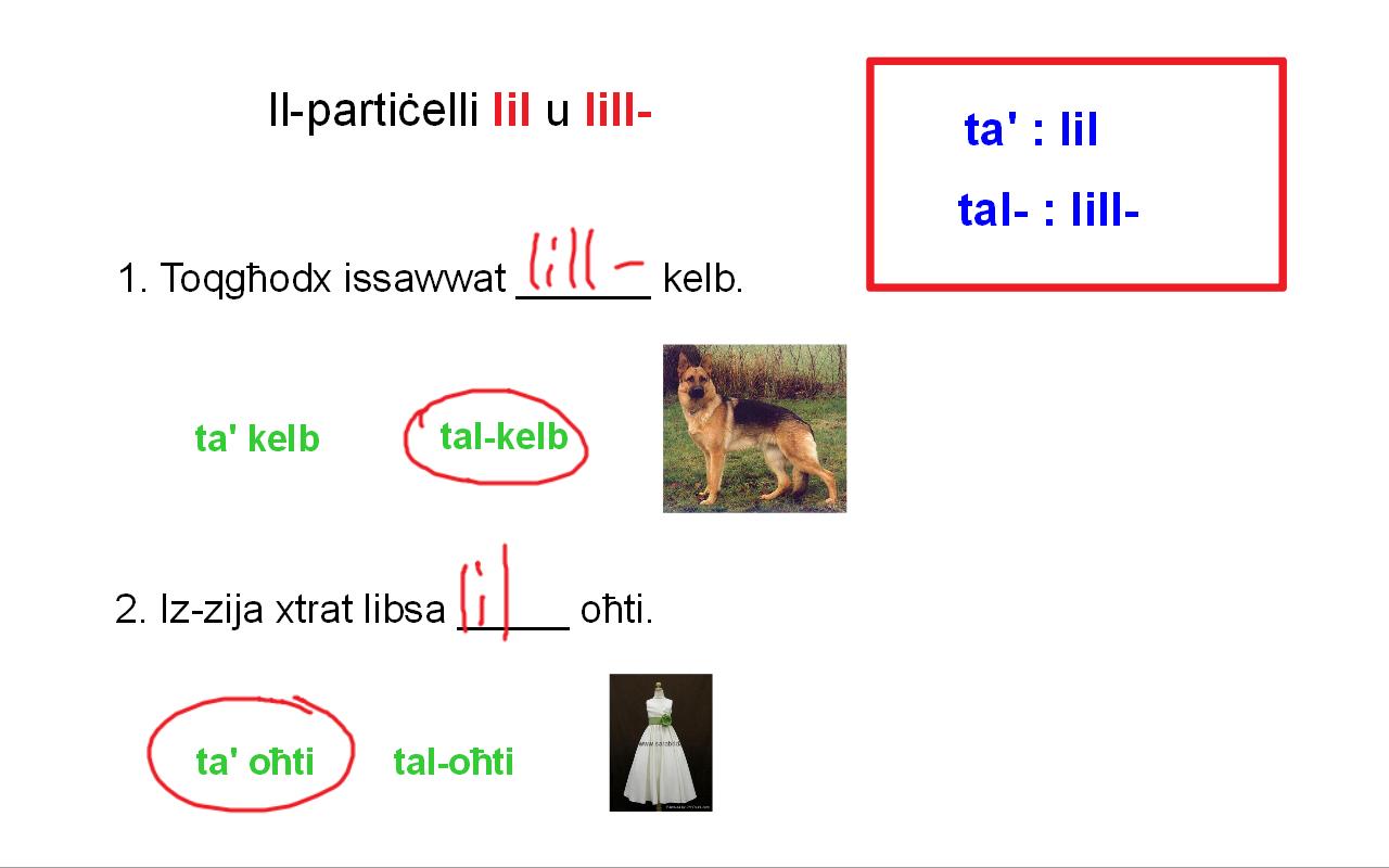 Miss Sarah's Class: Il-Malti