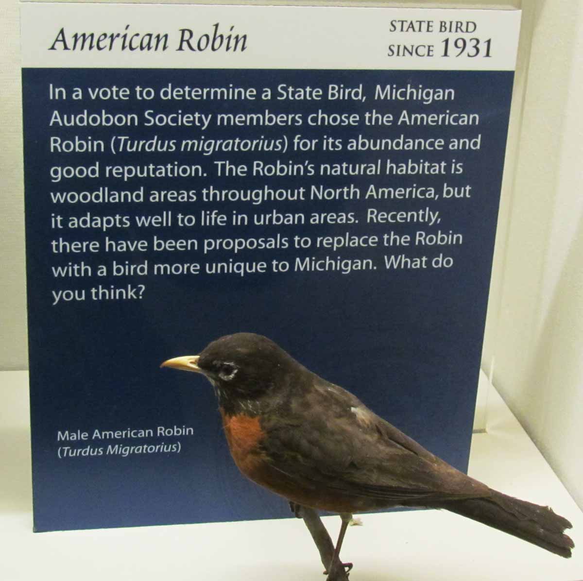 The Agatelady: Adventures and Events: UofM Natural History Museum -- Post 3