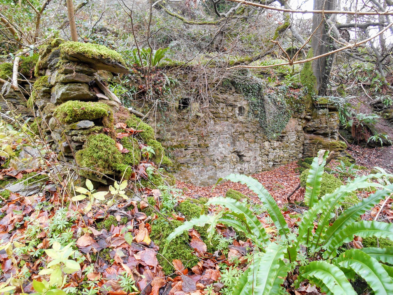 Off the Beaten Track in Somerset: The Lost Village of Clicket