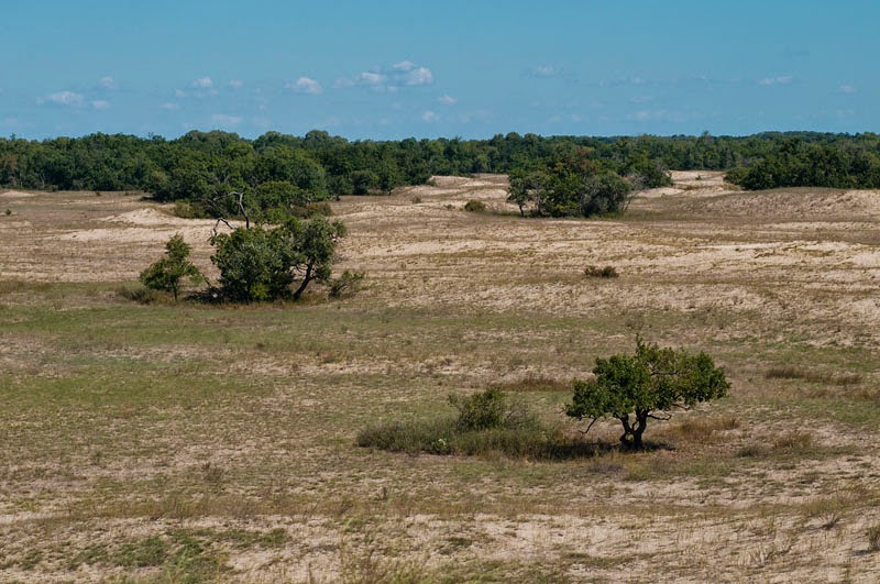 Pasiunea Pescuitului: Padurea Caraorman