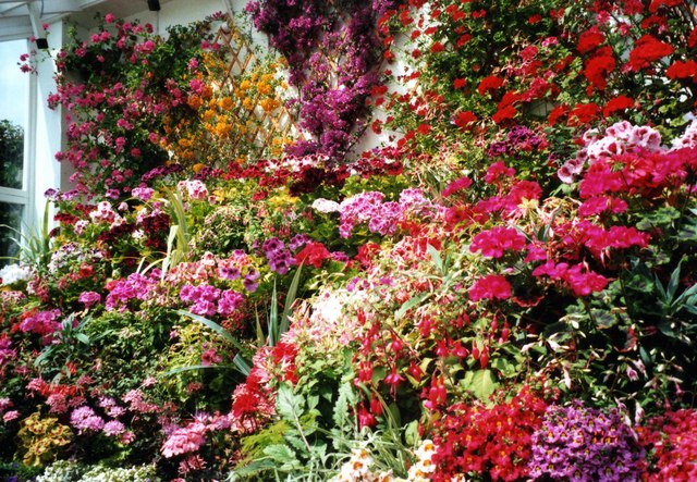 4 Things to Do While in Balmoral Castle