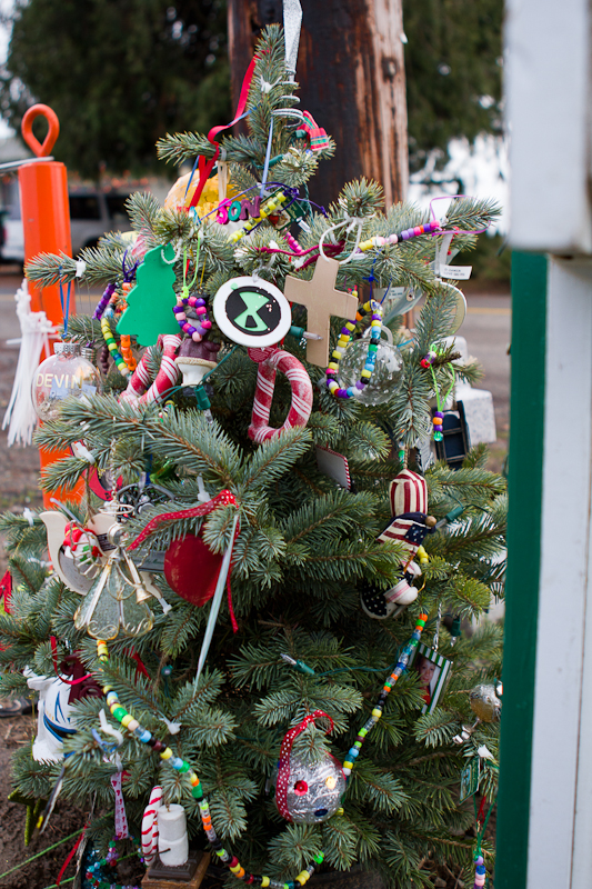 Teresa Hunt Photography: Memorial Christmas Tree