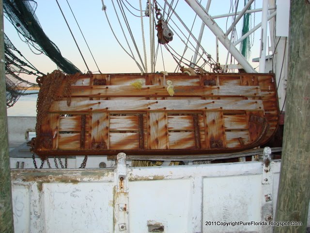 PURE FLORIDA: An Inordinate Fondness For Shrimp Boats