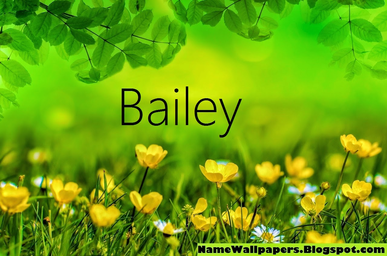 Bailey Name Wallpapers Bailey ~ Name Wallpaper Urdu Name Meaning Name ...