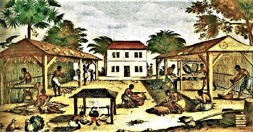 A Woodsrunner's Diary: 17C American Women: The Southern Colonies