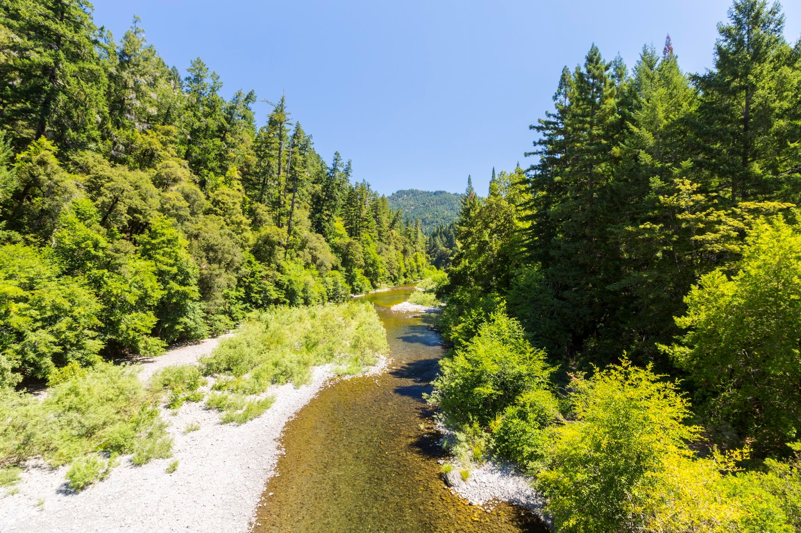Naturetastic Blog: Leggett, Piercy, Eureka, Arcata Bay - California's Coast