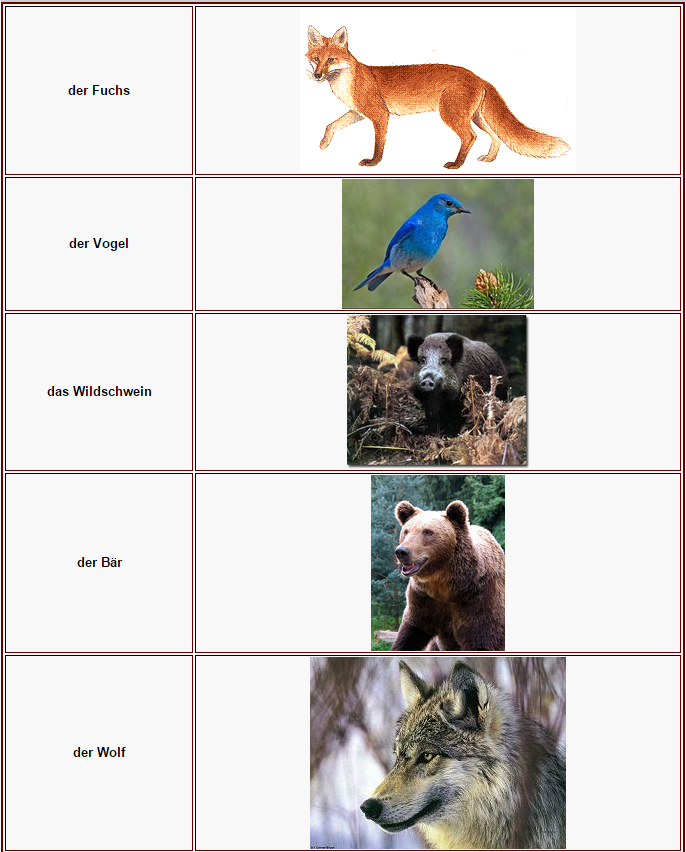 German Vocabulary - Animals « L E A R N G E R M A N