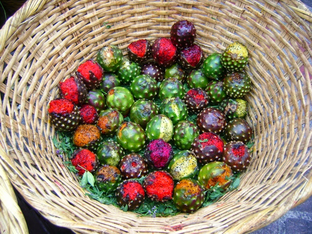 México a través de la mirada de una cubana: Pitayas en las 9 Esquinas