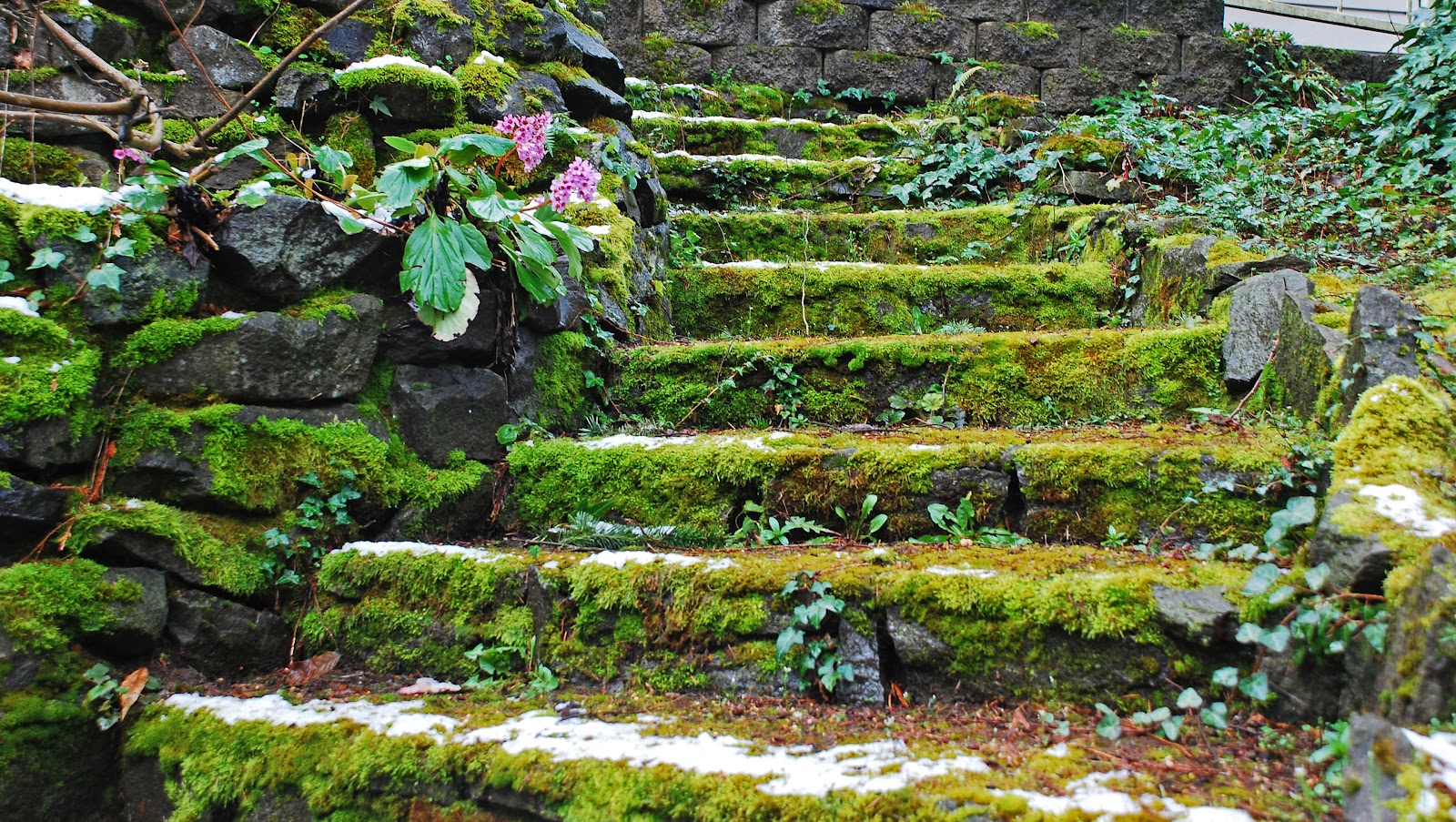 Anca Sandu Illustration