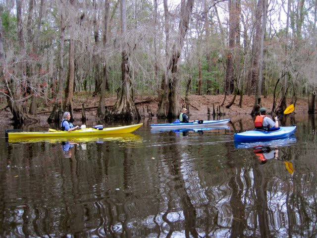 Chuck's Adventures: Canoeing and Hiking Congaree National Park