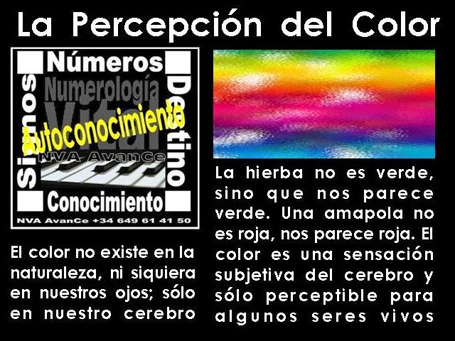 Numerología Vital del Autoconocimiento. NVA. Avance: LA PERCEPCIÓN DEL ...