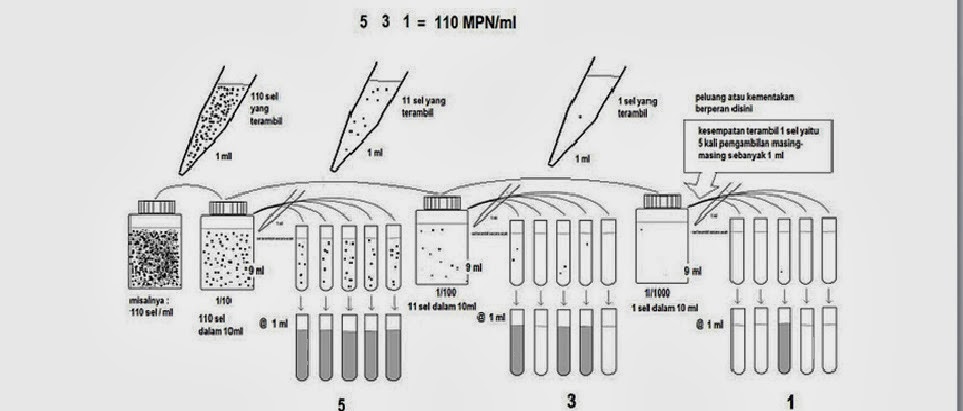 belajar TPHP: LAPORAN MIKROBIOLOGI ANALISA MIKROBIOLOGI DI INDUSTRI