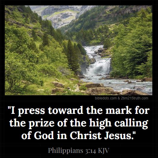 2 Timothy 2:15 Truth: Verse of the Day: Philippians 3:14 KJV