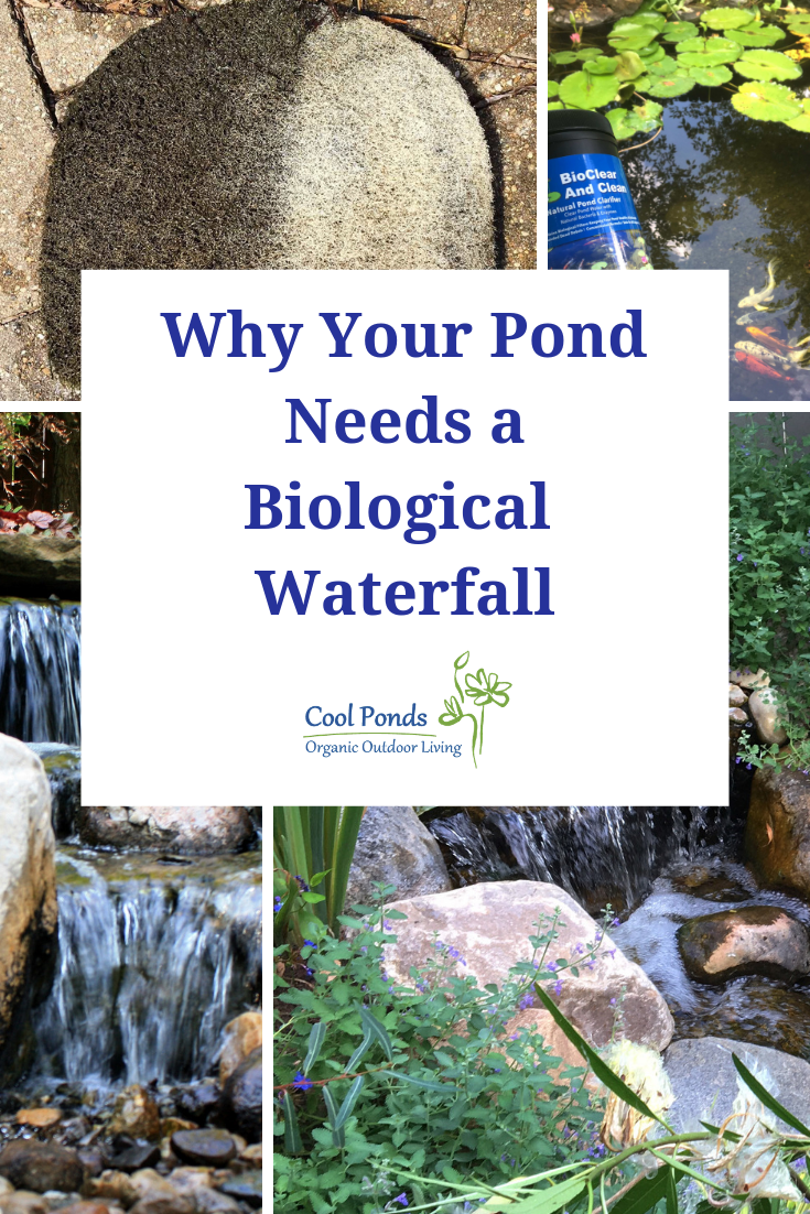 The Biological Waterfalls
