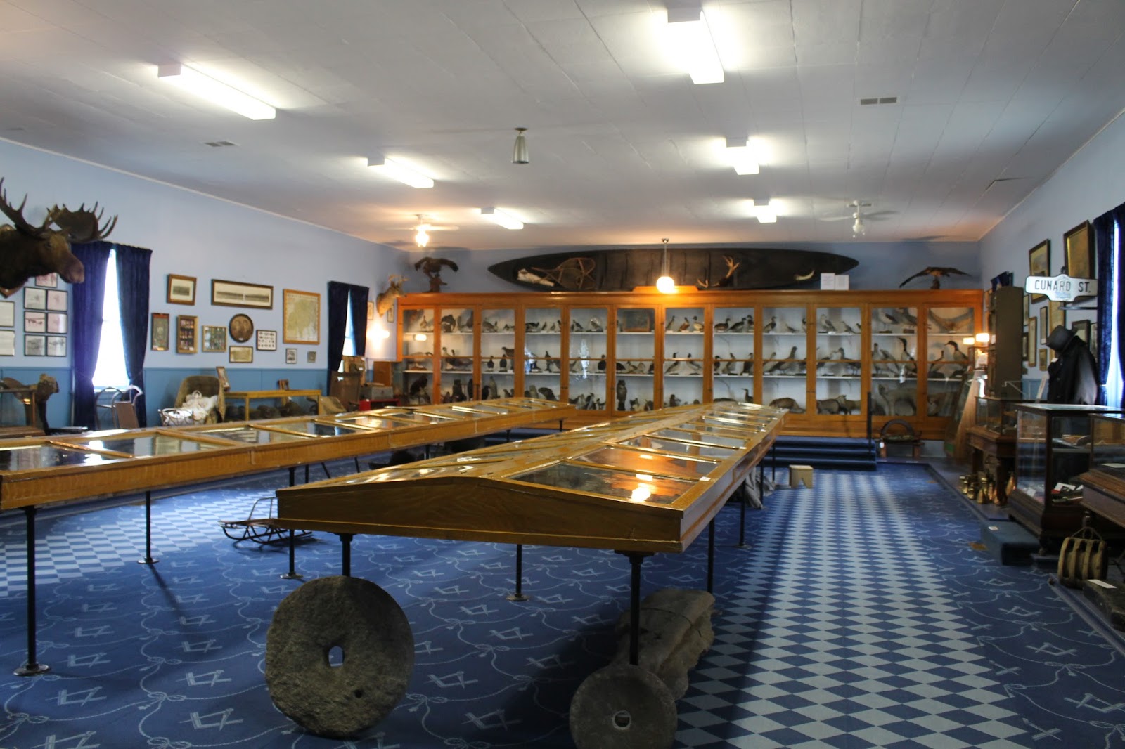 Explore Miramichi With Me: Things to Do: Miramichi Natural History Museum