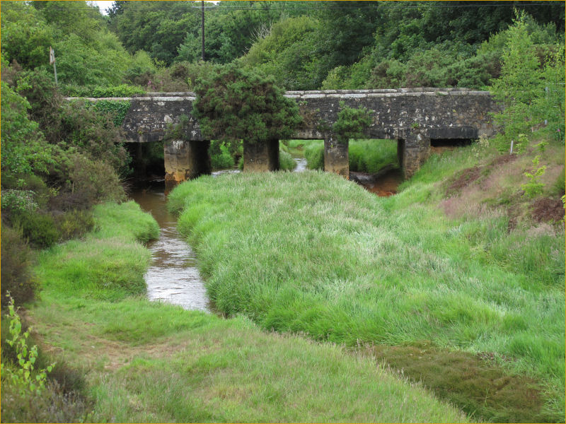 MONTS CORNWALL/KERNOW: TEHIDY WOODS & BISSOE NR