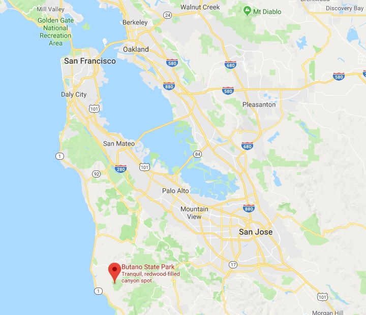 Butano State Park (California / USA)