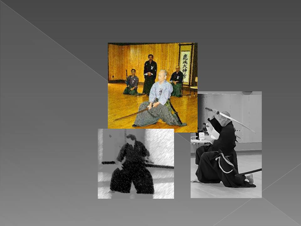 Muso Jikiden Eishin Ryu at Shoryukan Dojo, Alaska: 2017