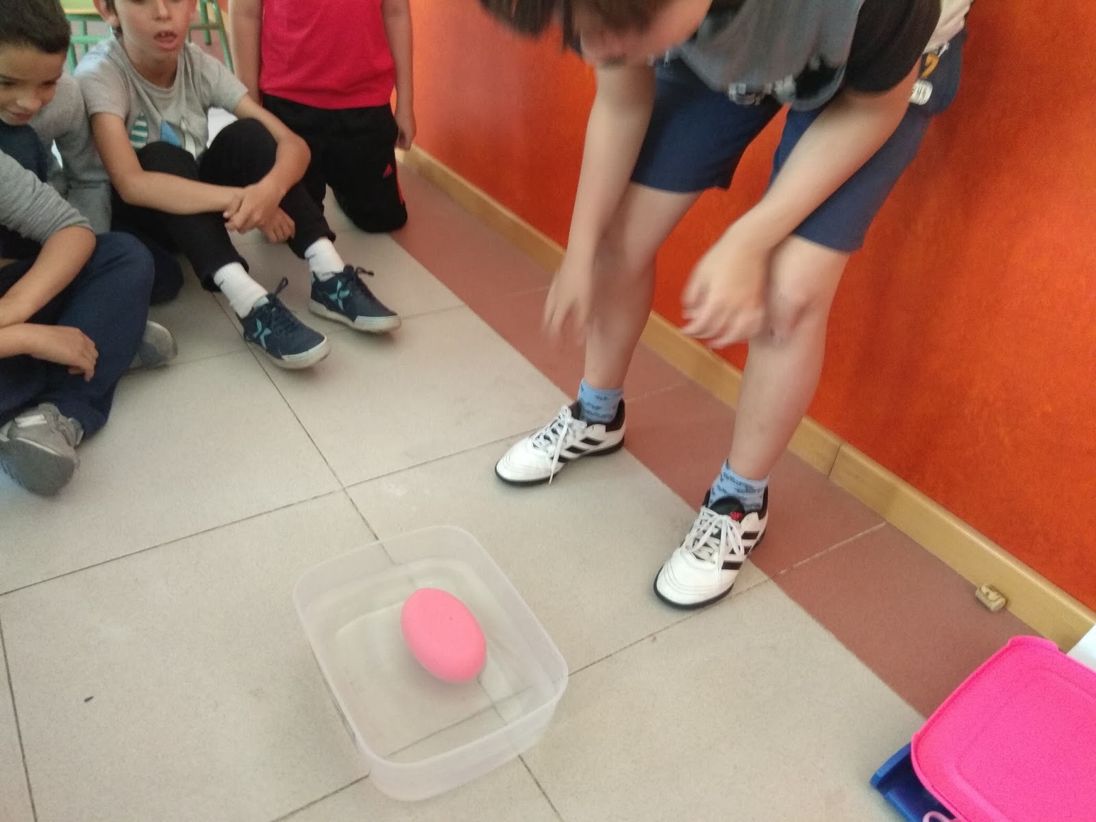 ENGLISH: 3rd A buoyancy experiment: float or sink?