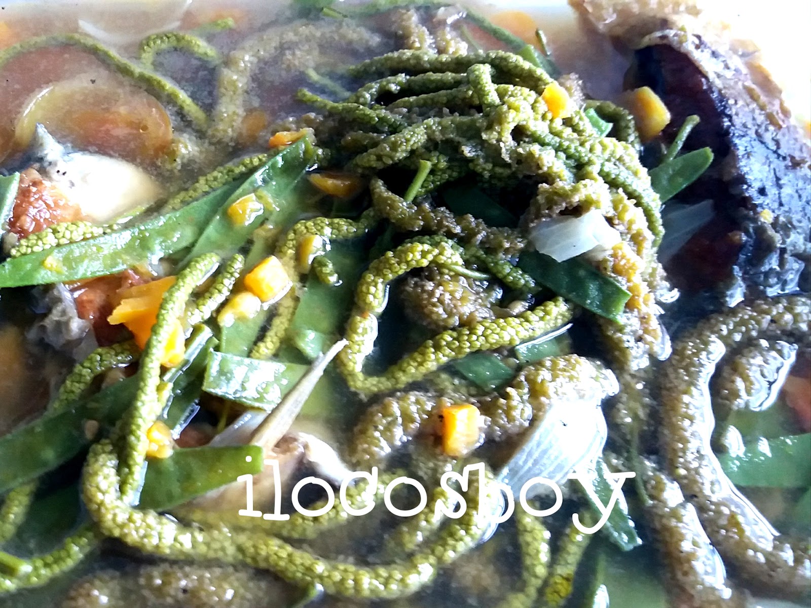 Ilocos: Buridibod Dish