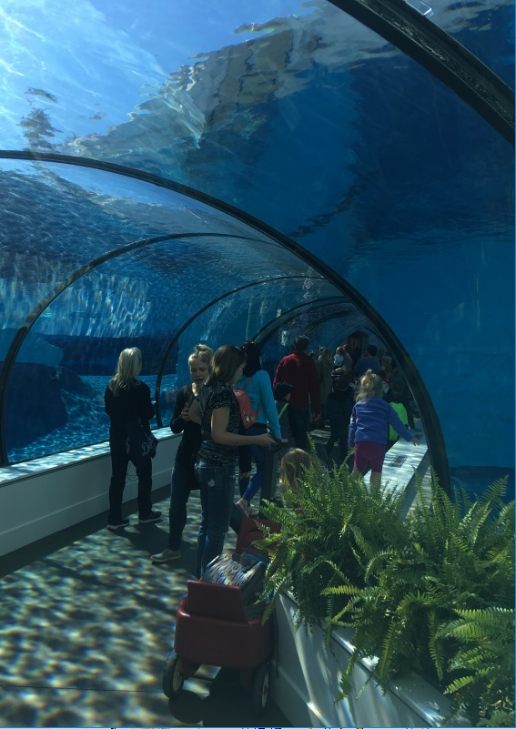 The Zoo Review: Zoo Review: Detroit Zoo