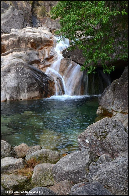 XOAN ARCO DA VELLA: FERVENZA DE ARADO - RÍO ARADO