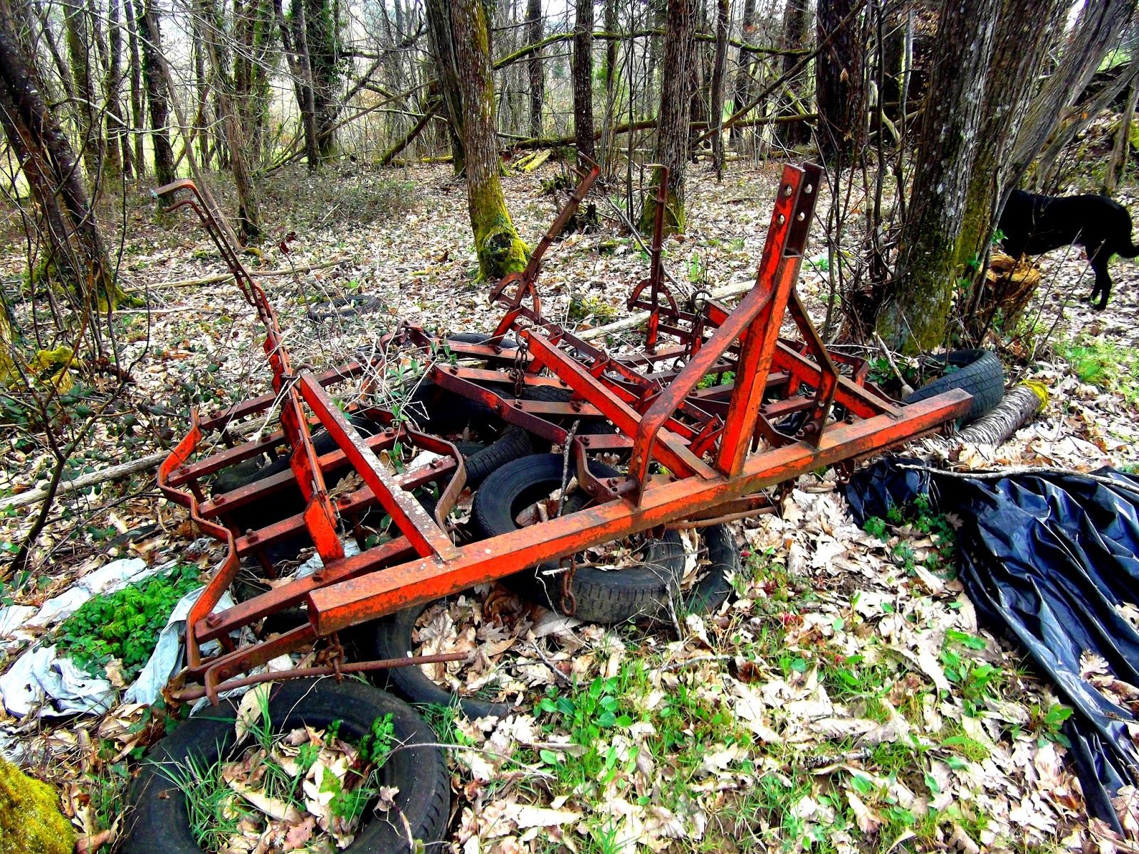 Magnon's Meanderings: Abandoned Kit.