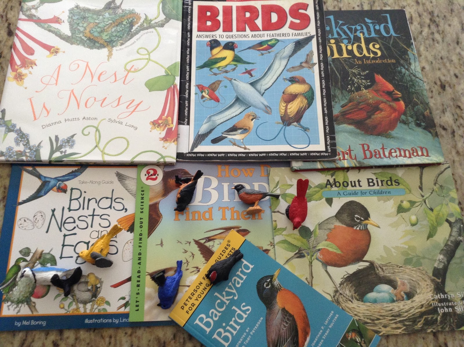 TeacherMomPlus3: Nature Study: Birds