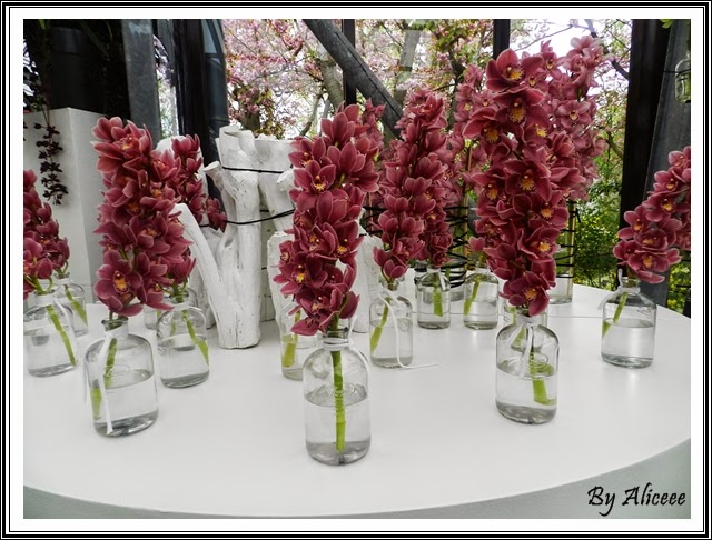 O vizita la Pavilionul cu Orhidee din Keukenhof Garden in 20 de imagini ...