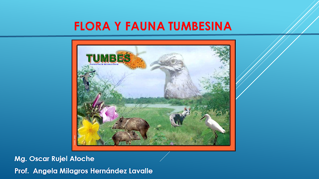 fauna y flora tumbesina: Presentación